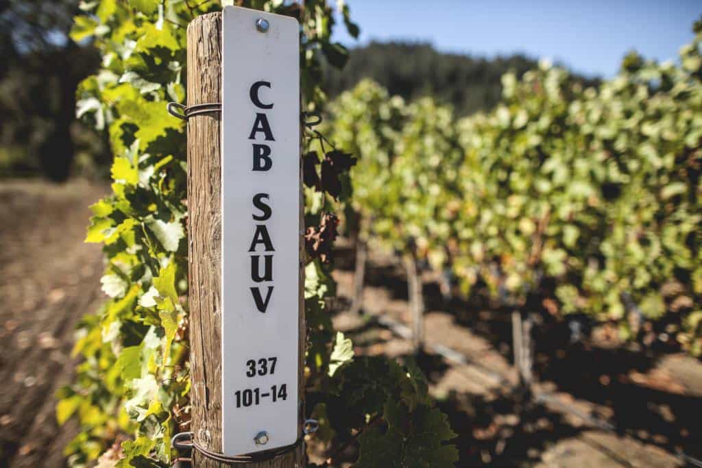 Experience Revana & Alexana Wines at The Houstonian - Goodtaste with Tanji