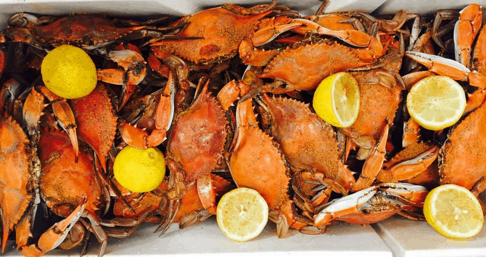 S7E2 - Get Your Bibs Ready for Cajun Claws Seafood Boils - Goodtaste ...