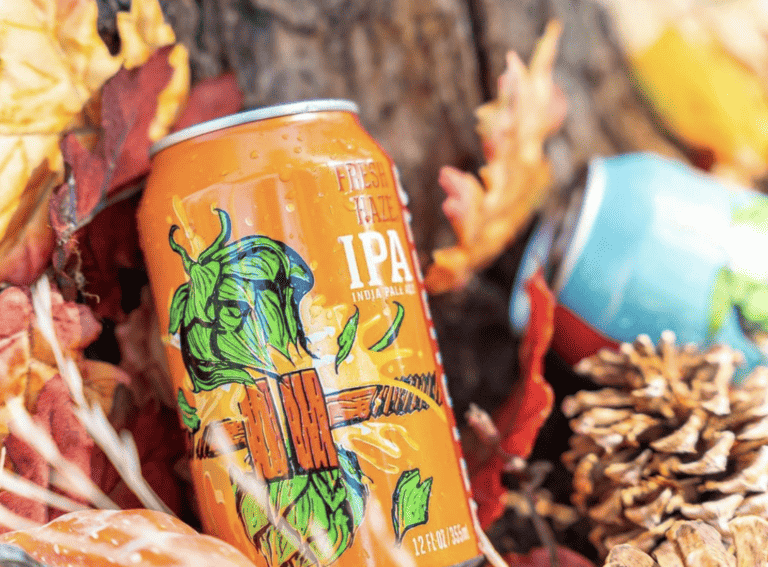 5 Best IPAs to Drink in the Summer - Goodtaste with Tanji